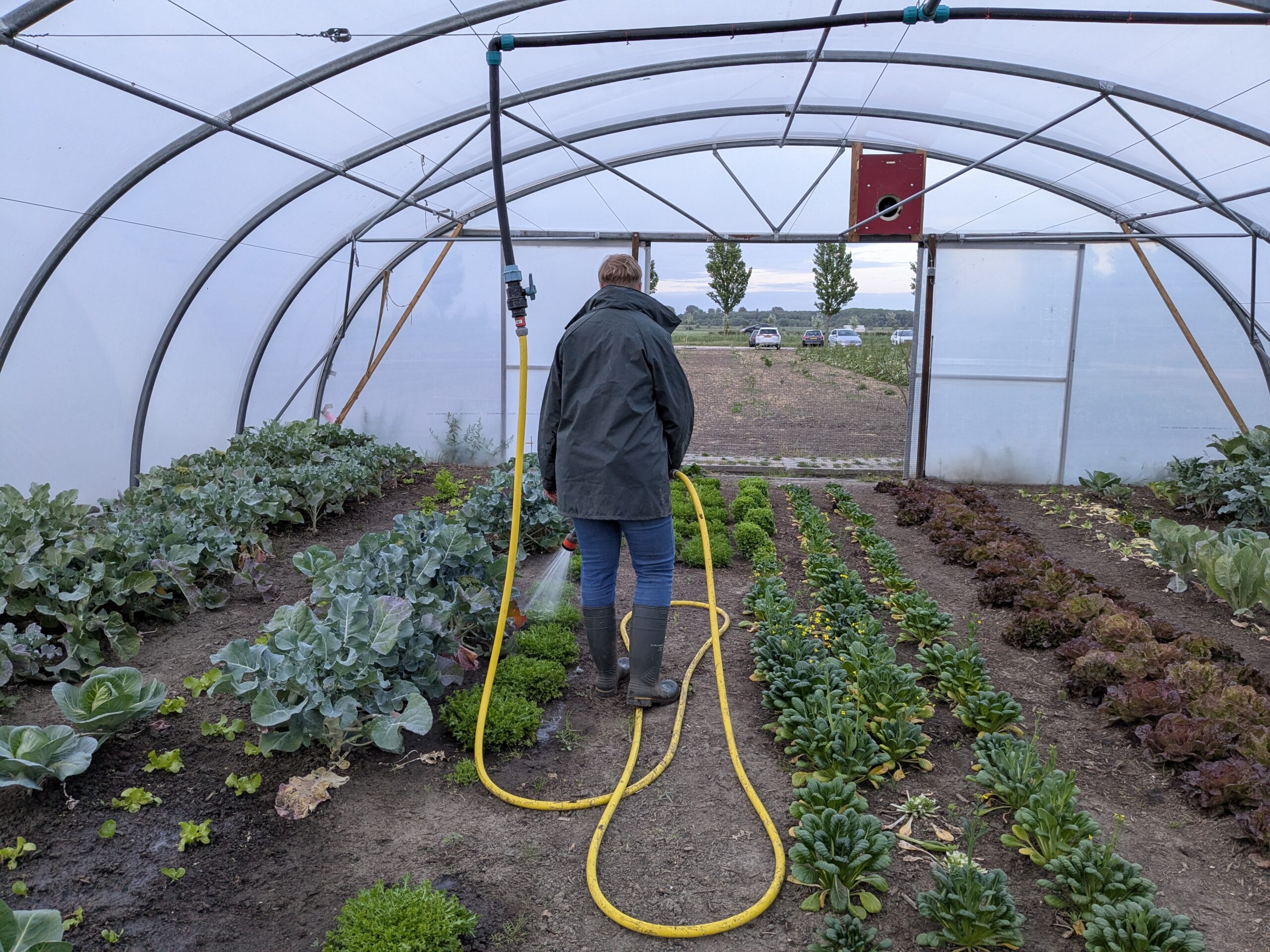 Ons sproeisysteem in de kassen - Biologische boerderij Kloetse Velden